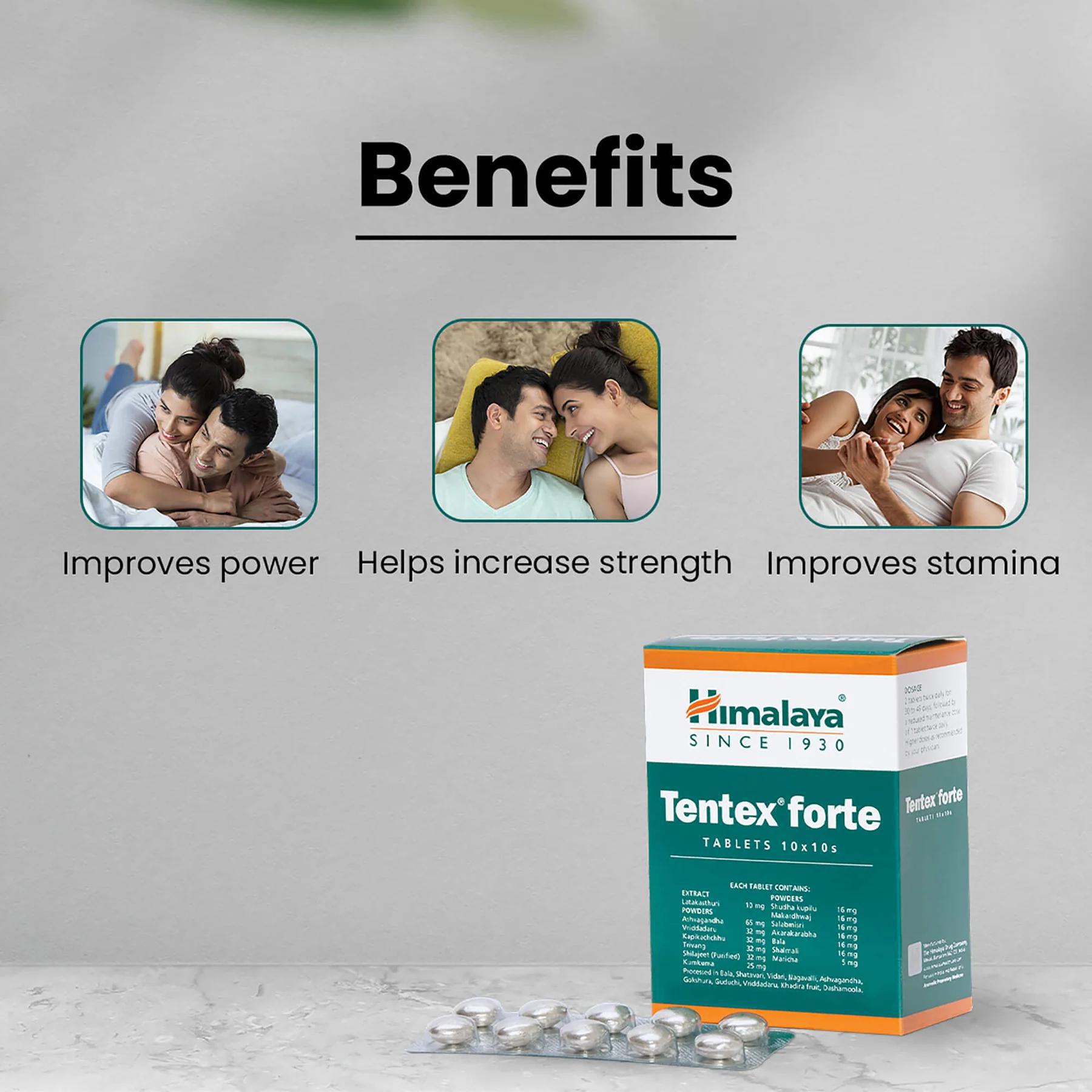 텐텍스 포르테 [100%천연허브 | 히말라야] (Tentex Forte | Himalaya Herbals) 100cap - 인도샵